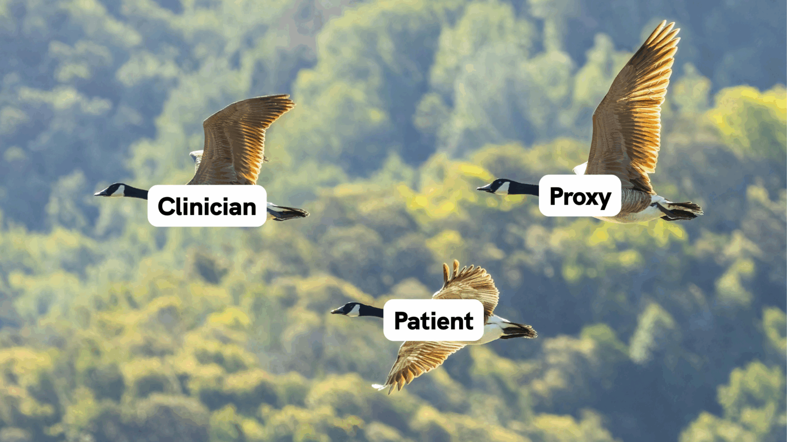 Missing Medical Records After a Hospital Switch? What to Do